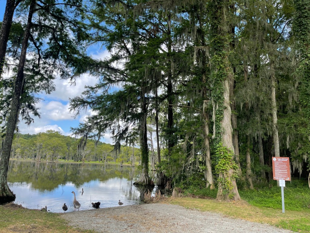 Embracing Summer's Farewell: How to Plan the Perfect Picnic Adventure ...